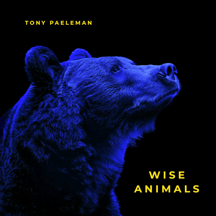 Wise Animals | Shed Music