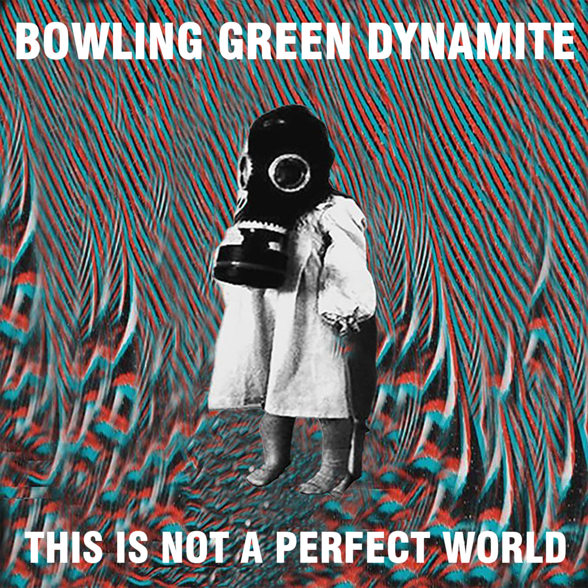 This is Not a Perfect World | Bowling Green Dynamite