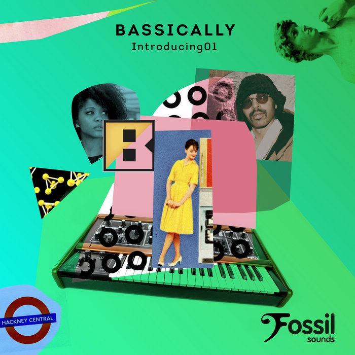 Introducing 01 | Bassically