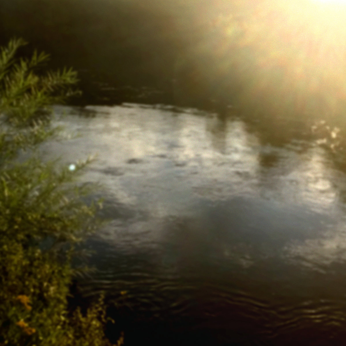 by the shore or swimming | singing sorrows