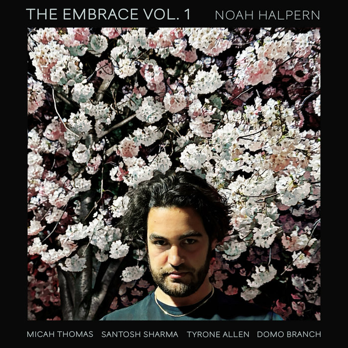 The Embrace Vol. 1 | Noah Halpern