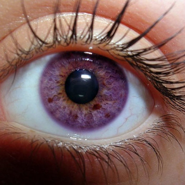 People With Real Purple Eyes