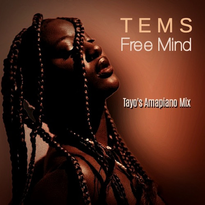 Tems - Free Mind (Tayo's Amapiano Mix) | Tayo Wink