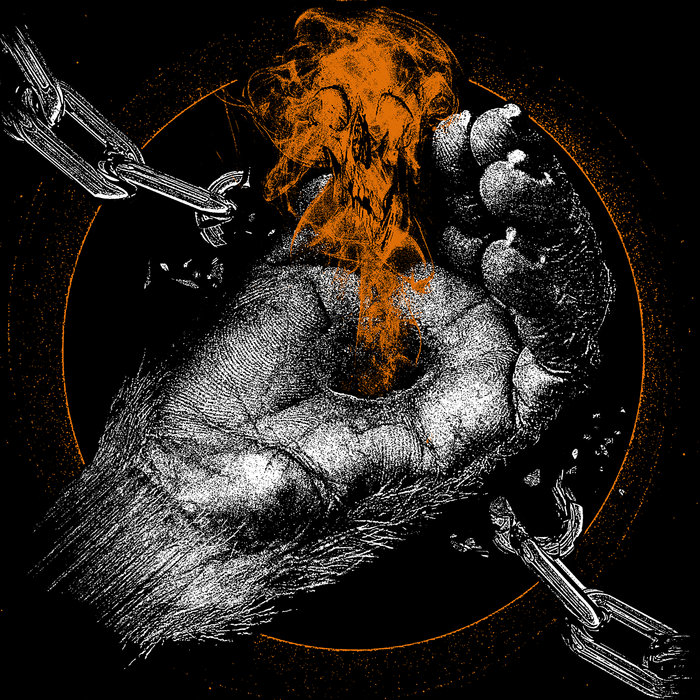 Three Wishes on the Monkey's Paw | The Lumbar Endeavor