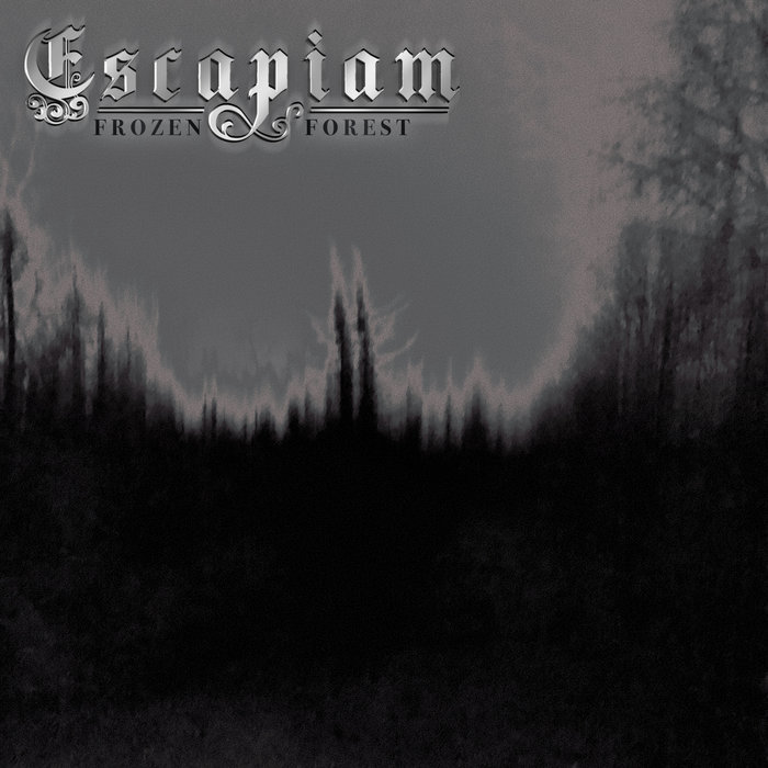 Frozen Forest | Escapiam
