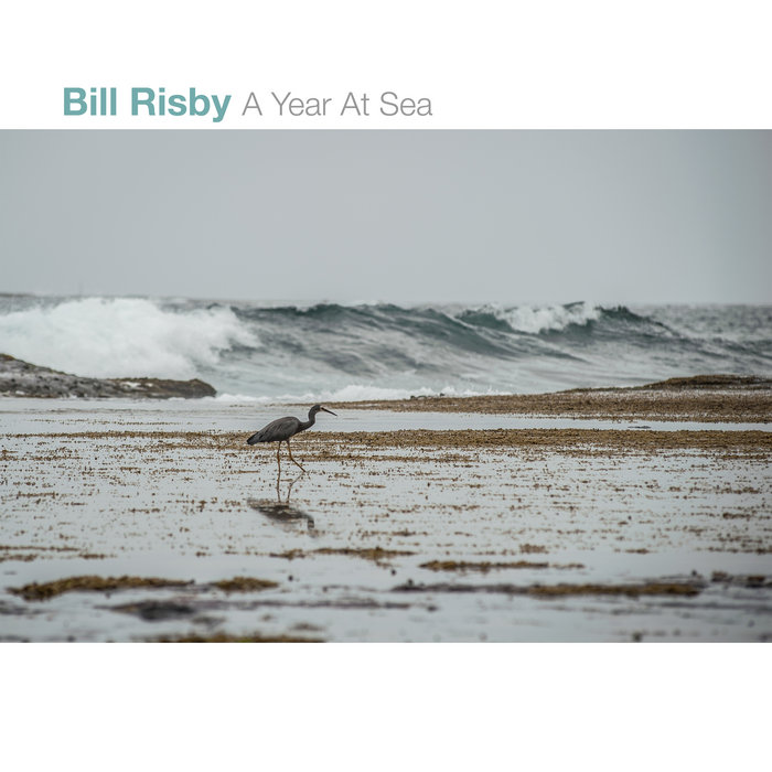 A Year At Sea | Bill Risby