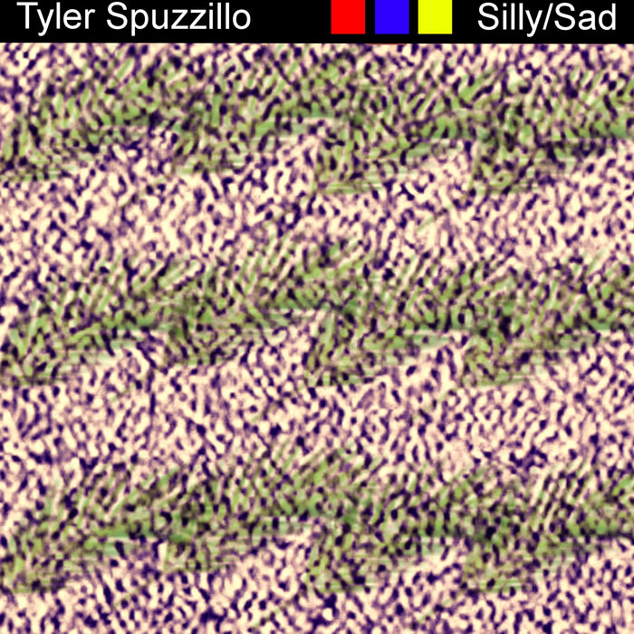 Silly/Sad | Tyler Spuzzillo
