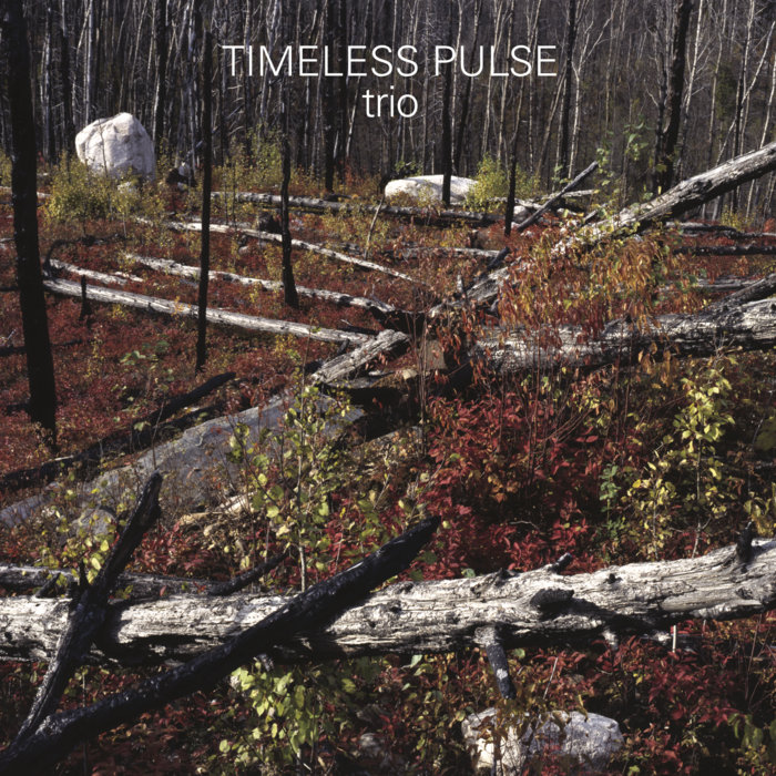 Trio | Timeless Pulse | TAIGA records