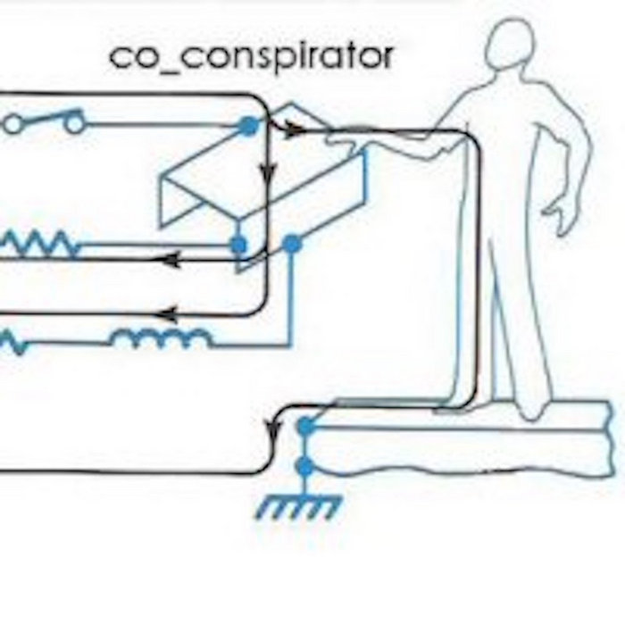 Co_conspirator | Co_conspirator