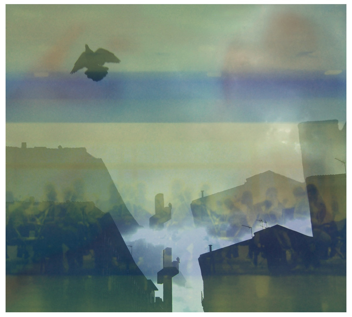 Been Here Too Long | Jeremy Wilms