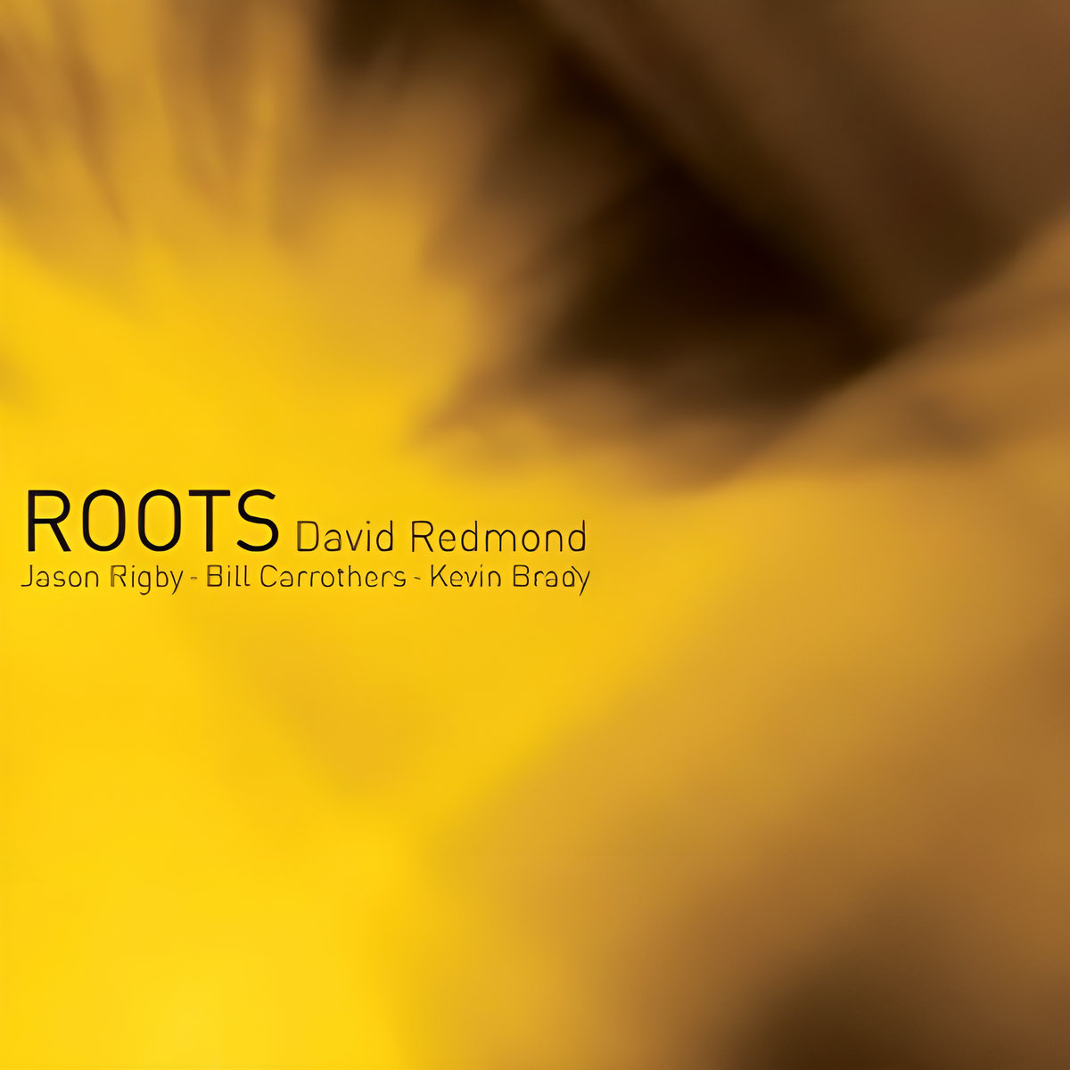 Roots | David Redmond, Jason Rigby, Bill Carrothers, Kevin Brady ...