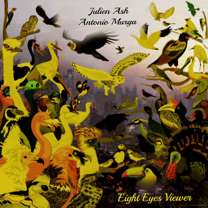 Eight Eyes Viewer | Antonio Murga-Julien Ash | HAMFUGGI Records