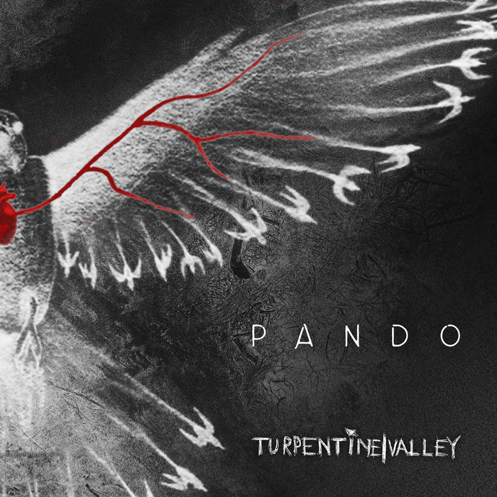 Pando | Turpentine Valley