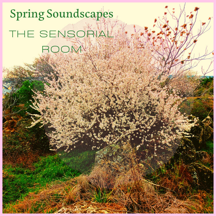 Spring Soundscapes | The Sensorial Room