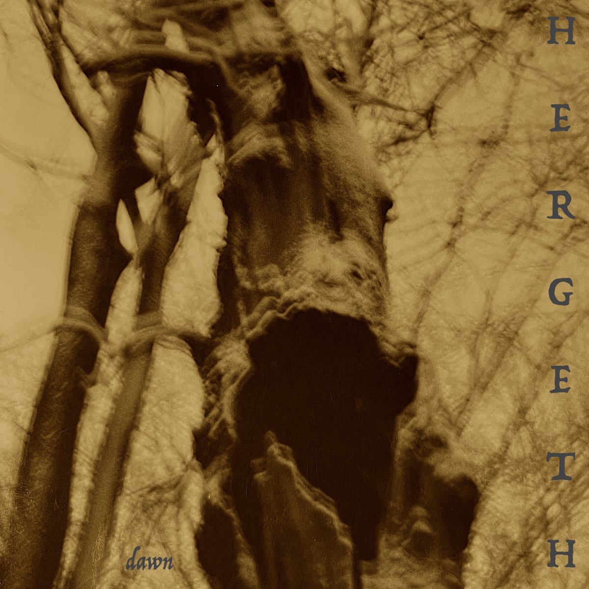 Dawn | HERGETH