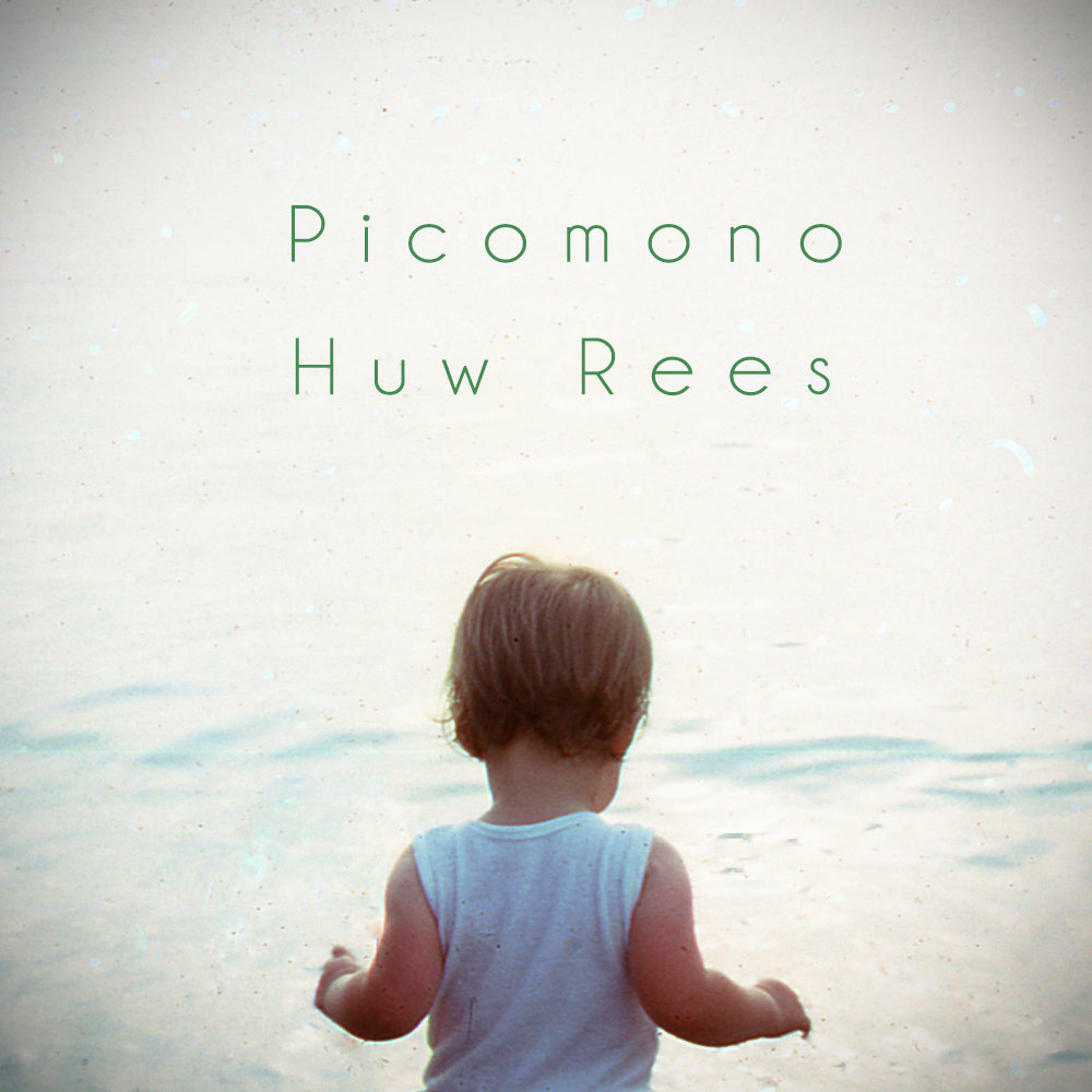 Picomono | Huw Rees