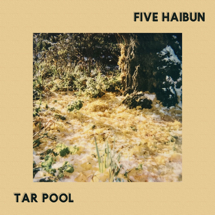 Five Haibun | Tar Pool
