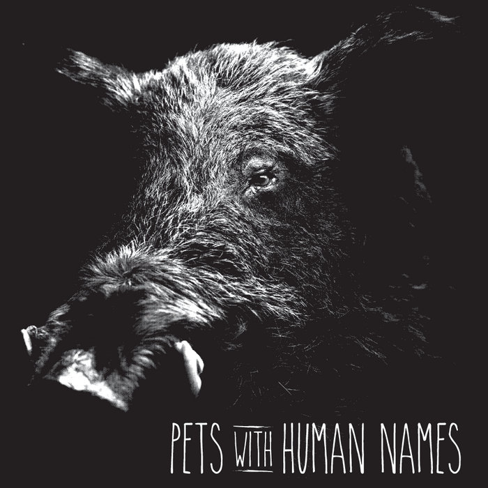 Pets with Human Names | Pets with Human Names