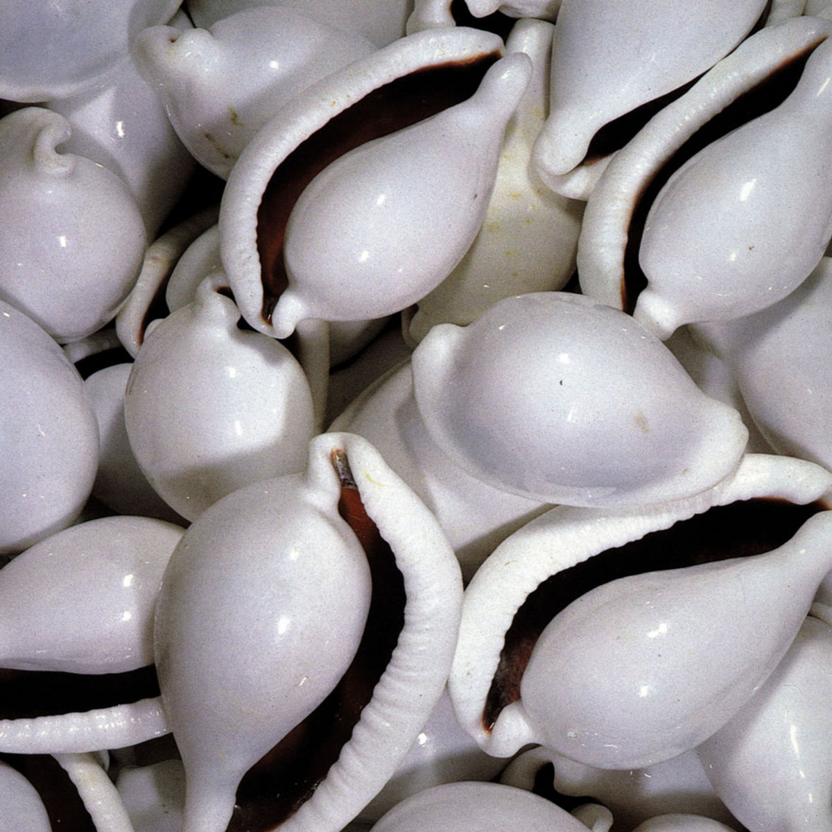 Hecho En El Espacio | WONG (JL MAGOYA) | STEREOPHONIC ELEFANT DANCE RECORDINGS