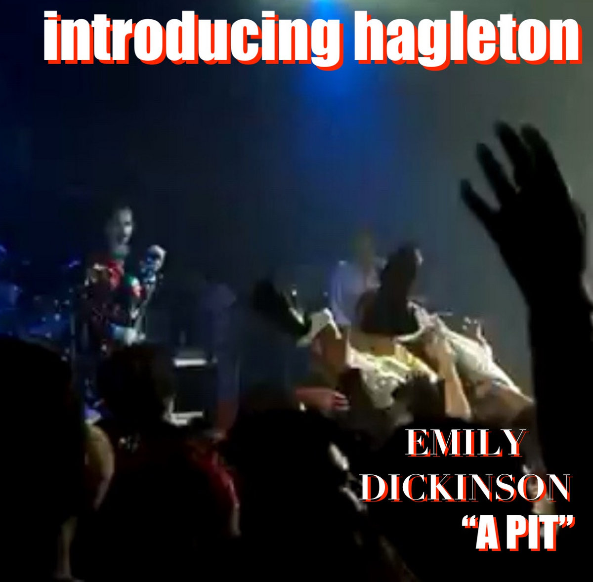A Pit. (Emily Dickinson) | Introducing Hagleton