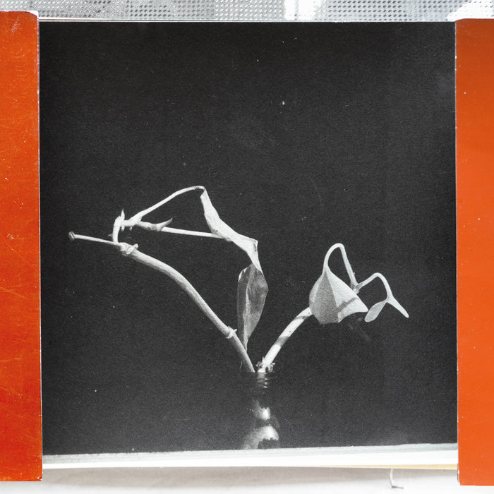 On a Tuesday and a Wednesday | Pierre Bastien & Casper Van De Velde ...