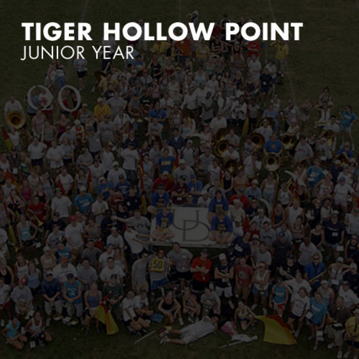 arty.beat | Tiger Hollow Point