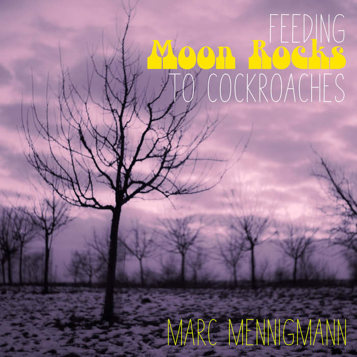 Feeding Moon Rocks To Cockroaches | Marc Mennigmann