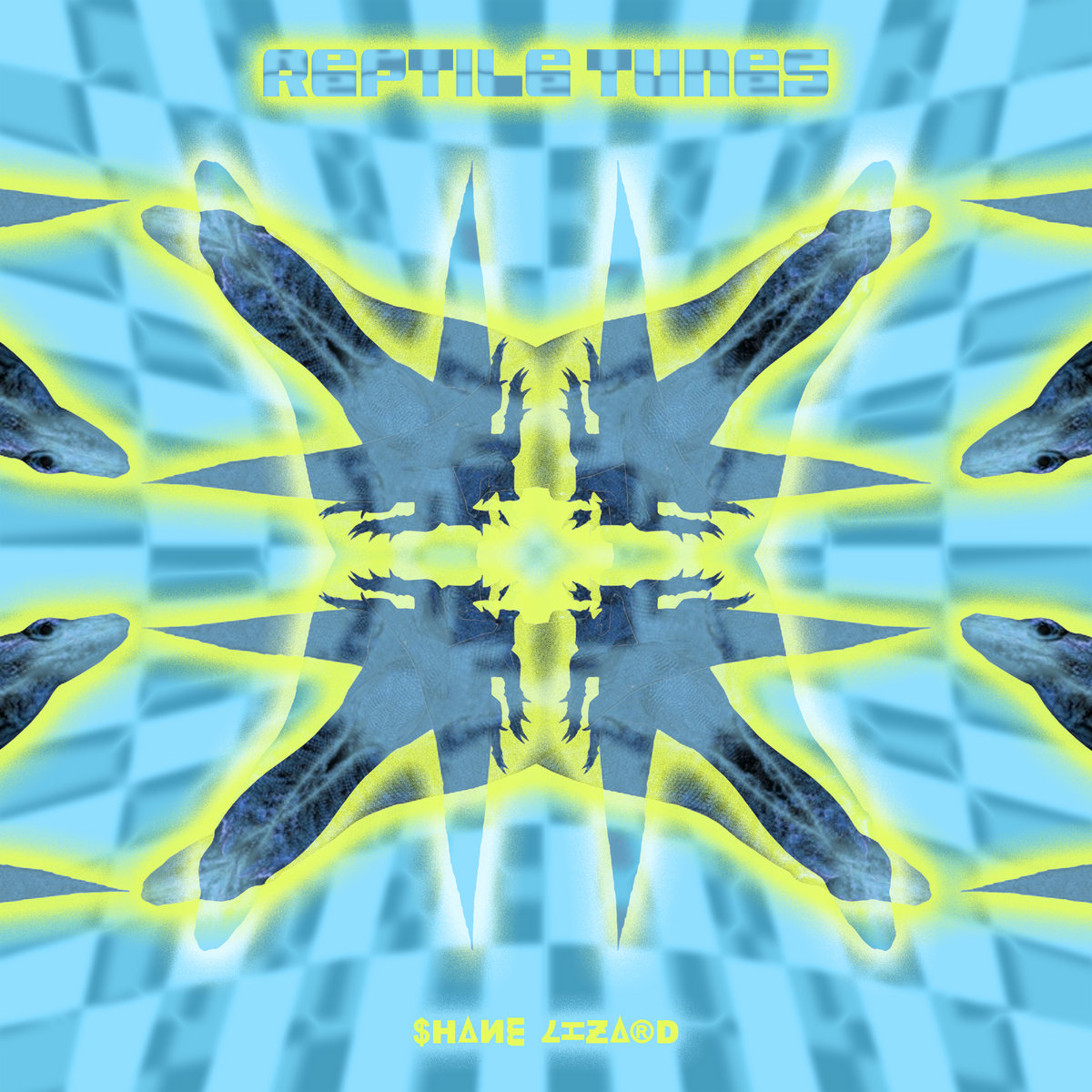 Beyond Netero | Shane Lizard | Aeronema