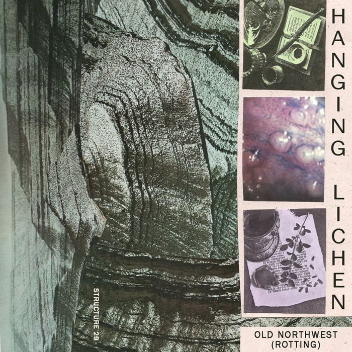 "Old Northwest (Rotting)" | Hanging Lichen | Mouldering Chain