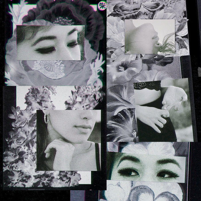 Slow Bloom Background Version Mesmi