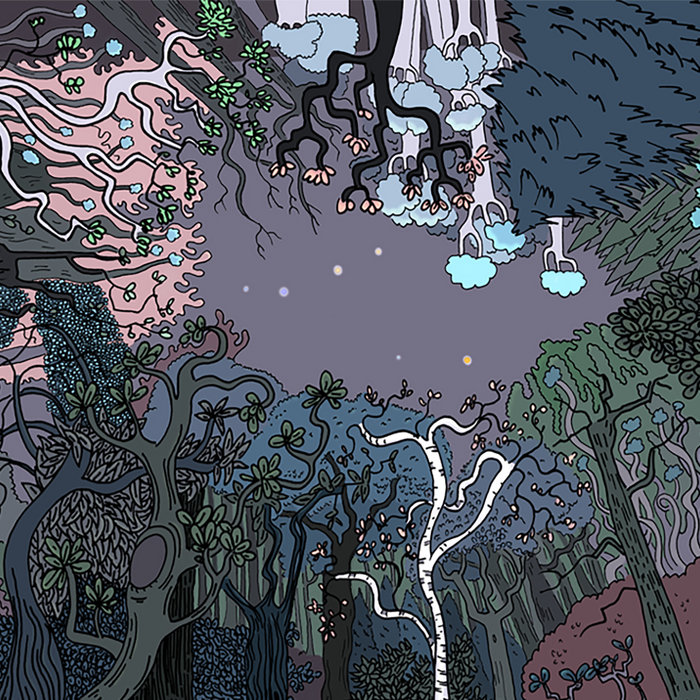 Forest Hollow | Forest Hollow