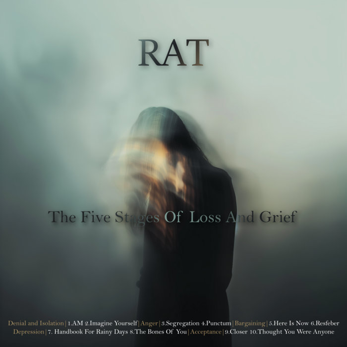 The Five Stages Of Loss And Grief | Rat