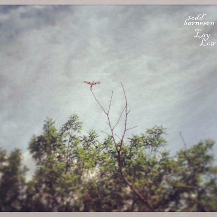 Lay Low | Todd Barneson