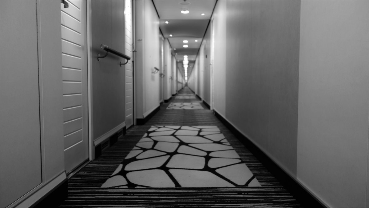 Plus ultra | Susan Screen Test