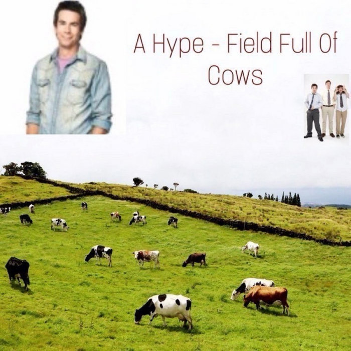 Field Full Of Cows | A Hype