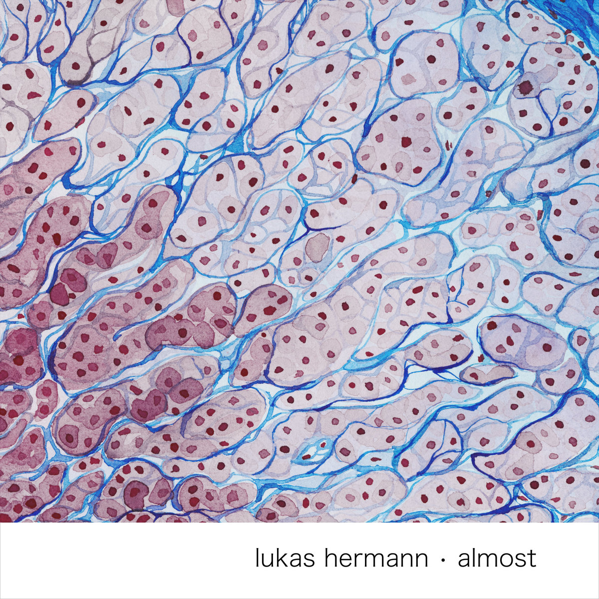 Almost | Lukas Hermann