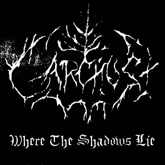 Where the Shadows Lie | Carchost