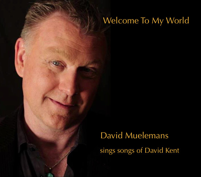 Welcome to My World | David Meulemans