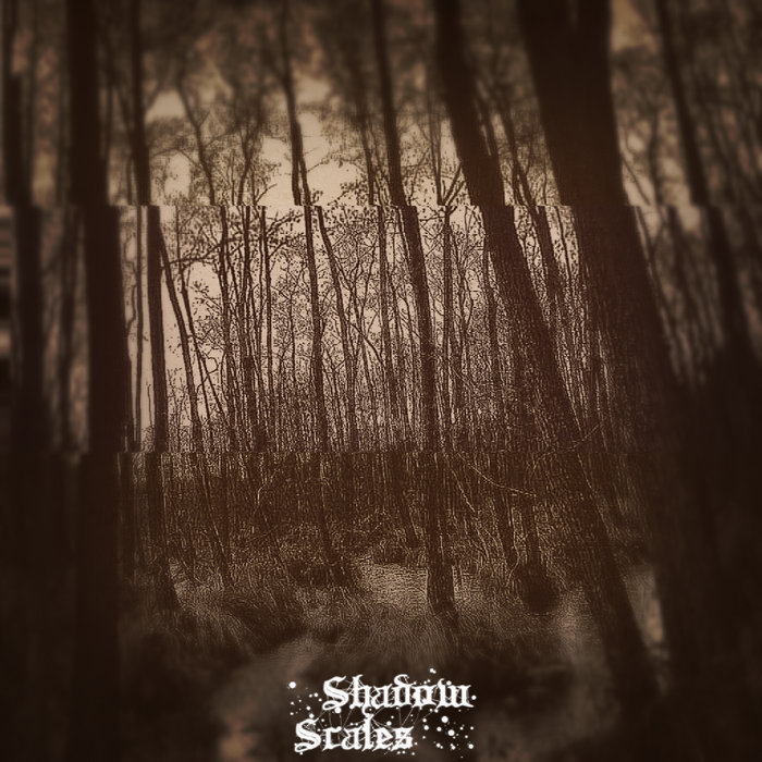 Mist Dweller | Shadow Scales