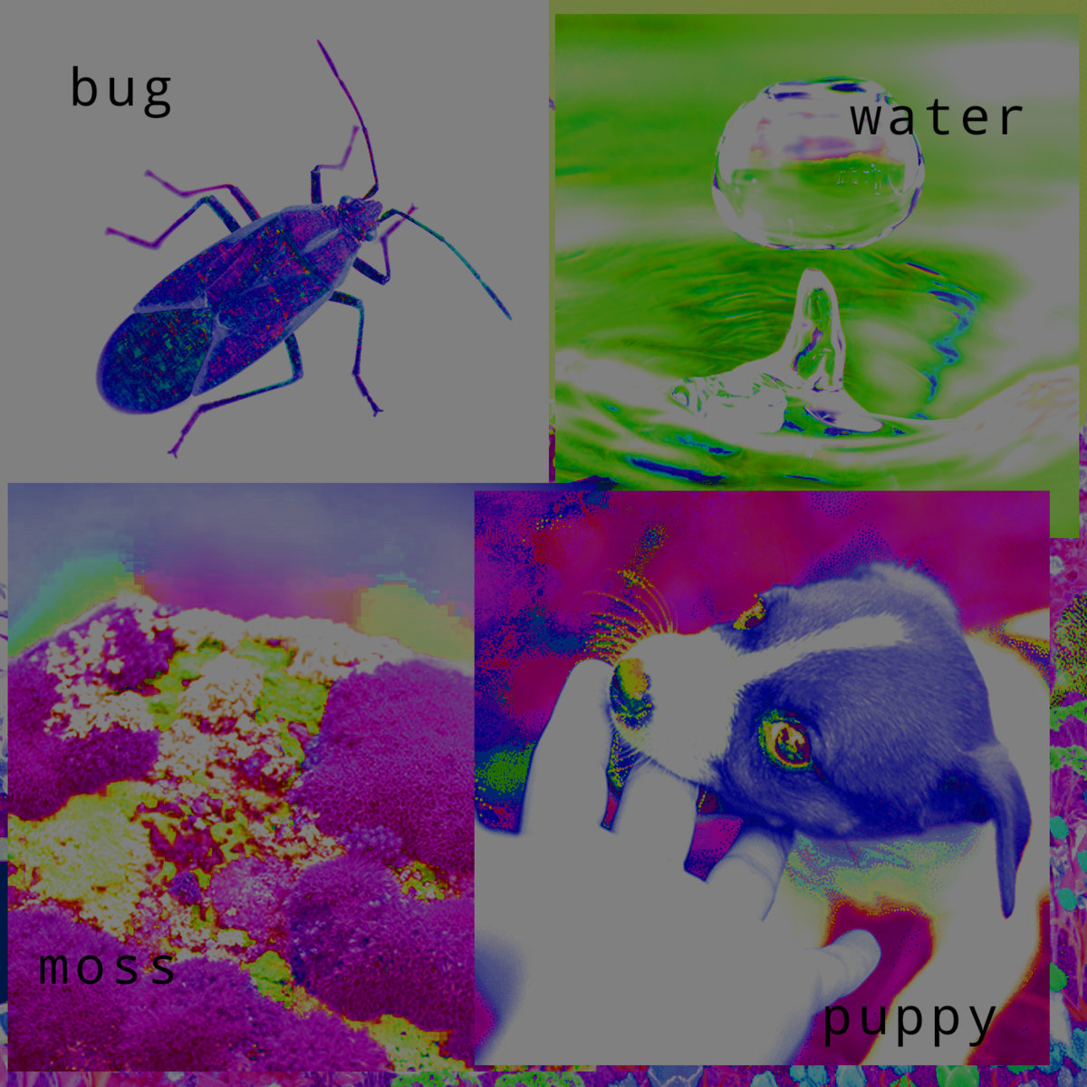 it's cool and fun | unfortunate bee | TINY HIVE MEDIA