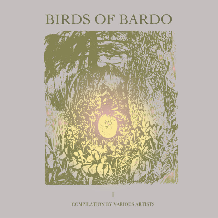 Birds of Bardo | biardo records