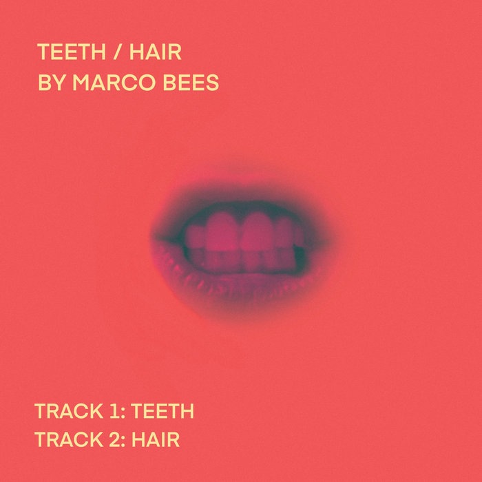 Teeth / Hair | Marco Bees