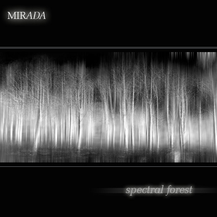 Spectral Forest | Mirada