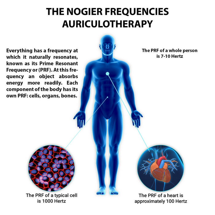 The Nogier Frequencies Auriculotherapy | Audio Industria