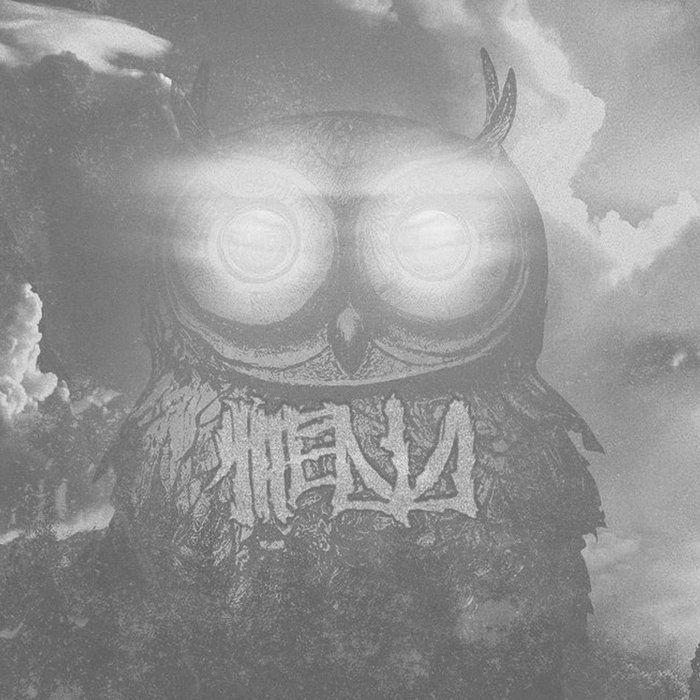 The Owl / The Owls / CIRM / 𝕶𝕺𝕯𝕰𝖃𝕮𝕰𝕾 / Picture Storms | OWLRIPPER ...