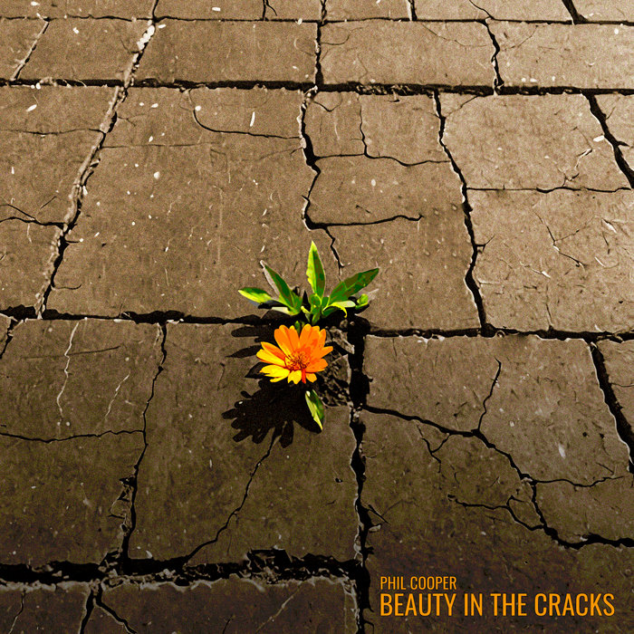 Beauty In The Cracks | Phil Cooper