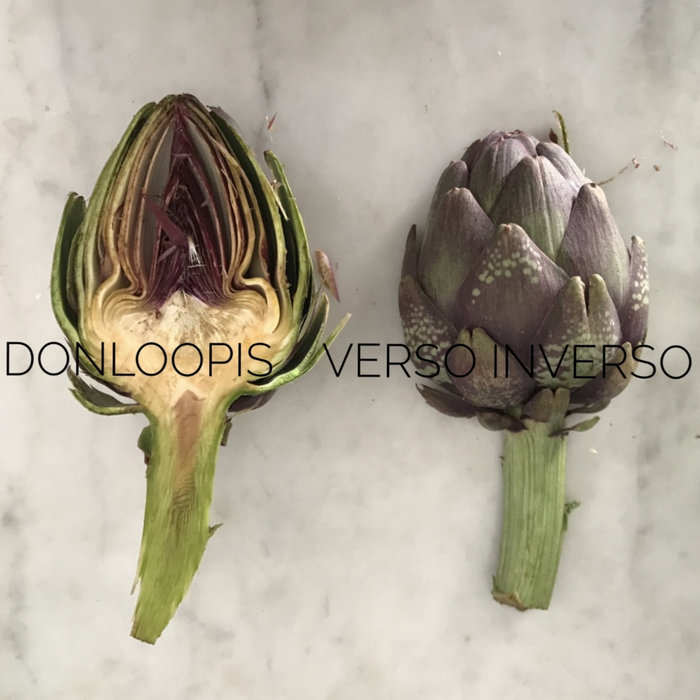VERSO INVERSO | DonLoopis (aka Donatello Pisanello) | Don LooPis