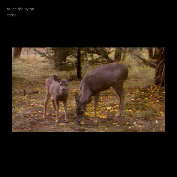 copse | touch the pylon