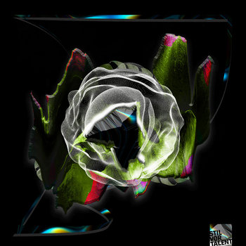 Music | Stil vor Talent