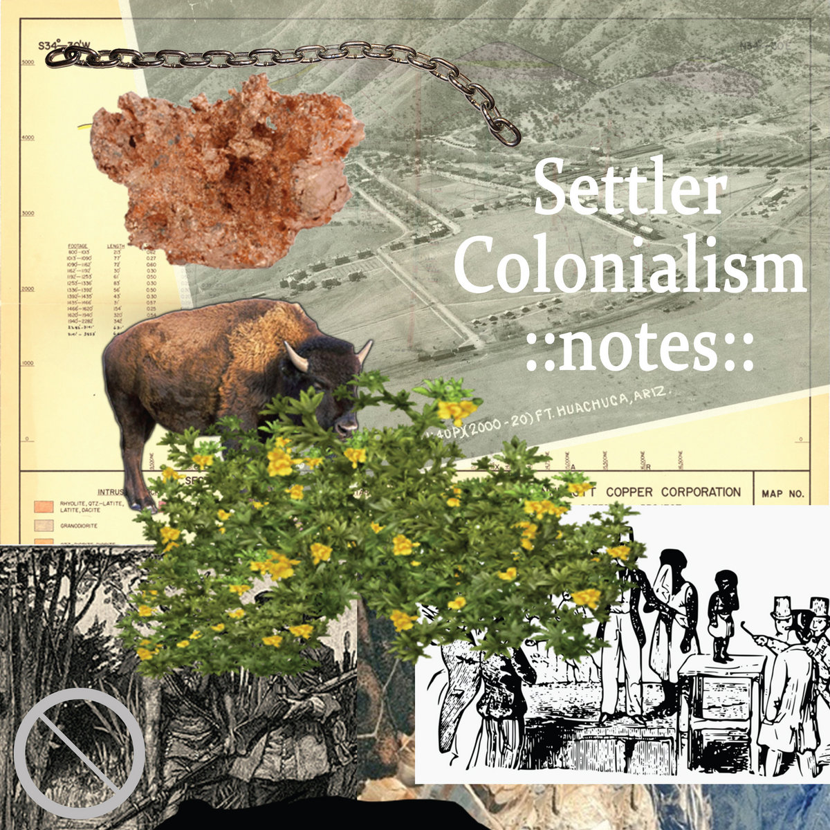 Settler Colonialism Notes | TempName